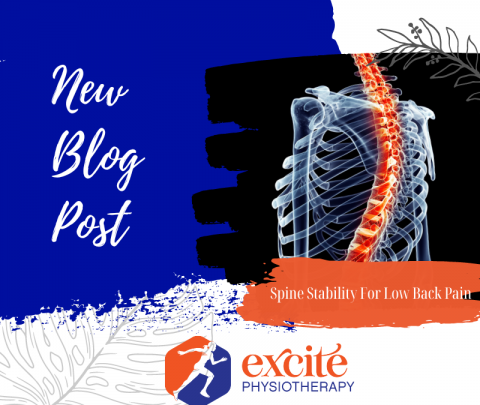 Spine Stabilization for Low Back Pain | Excite Physio | Barrie, Ontario
